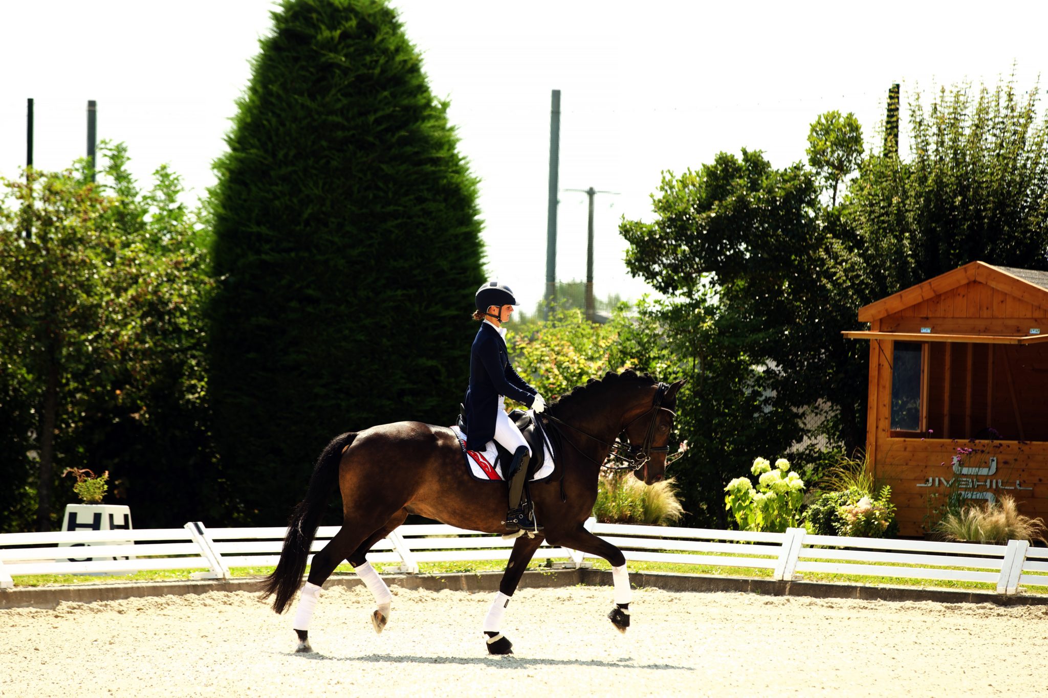 JHS – Jiva Hill Stables