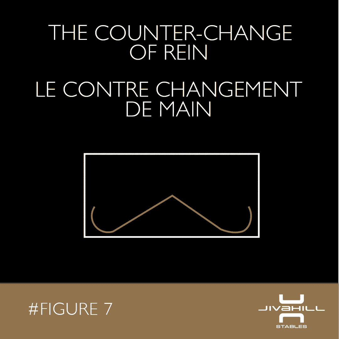 LES FIGURES DE DRESSAGE - JHS